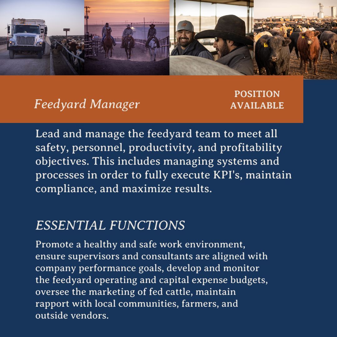 Cobalt Cattle Company LLC on LinkedIn: We are hiring! Cobalt Cattle ... Cobalt Cattle Company LLC on LinkedIn: We are hiring! Cobalt Cattle ...