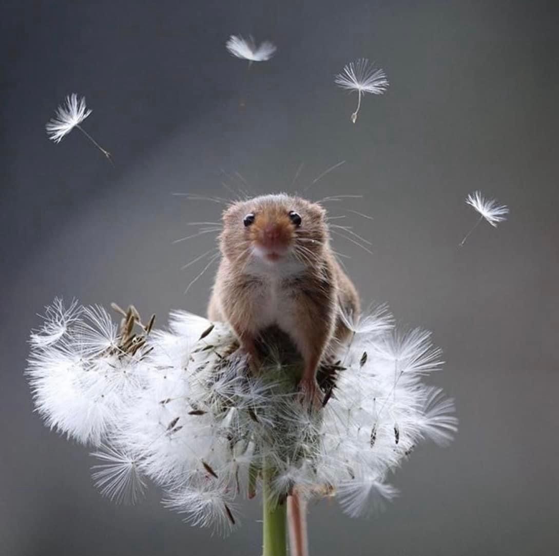 Daryl Roy on LinkedIn: YOU π«΅πΎ deserve to BLOOM π no matter where you ... Daryl Roy on LinkedIn: YOU π«΅πΎ deserve to BLOOM π no matter where you ...