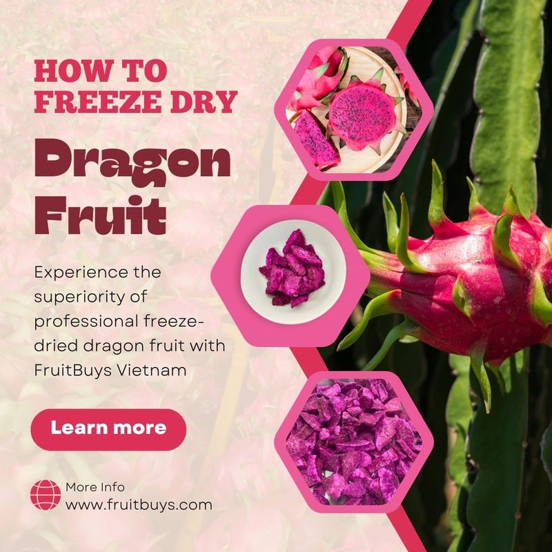 Learn about freeze-dried dragon fruit from FruitBuys Vietnam ... Learn about freeze-dried dragon fruit from FruitBuys Vietnam ...