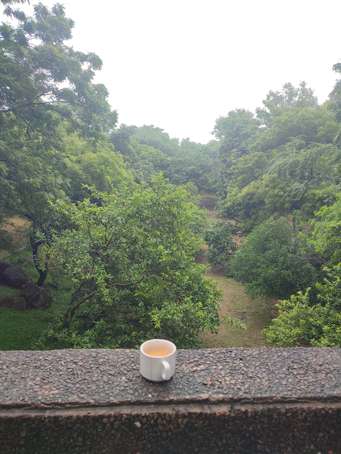 Dr. Shivam Chaturvedi on LinkedIn: My beautiful ICGEB 😊😍 Dr. Shivam Chaturvedi on LinkedIn: My beautiful ICGEB 😊😍