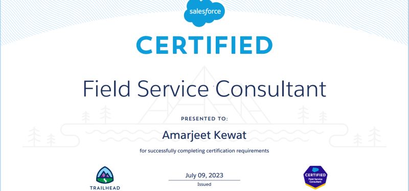 Amarjeet Kewat on LinkedIn: #salesforcecertified Amarjeet Kewat on LinkedIn: #salesforcecertified