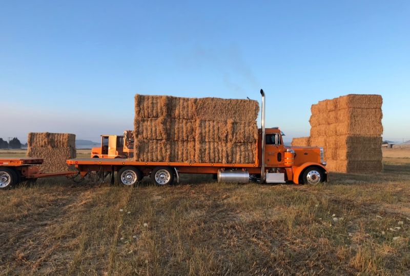 Jesse Bounds on LinkedIn: #trucking #transport #jesseboundstrucking Jesse Bounds on LinkedIn: #trucking #transport #jesseboundstrucking
