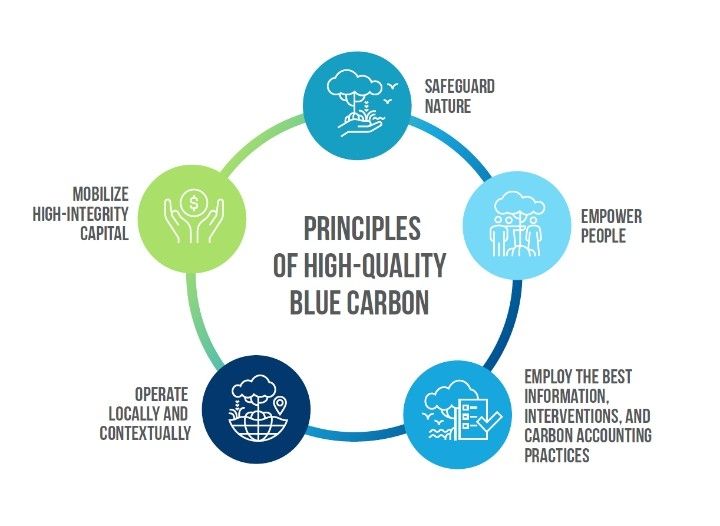 Philip Maima on LinkedIn: #climatechange #marine #carbontrading #bluecarbon Philip Maima on LinkedIn: #climatechange #marine #carbontrading #bluecarbon
