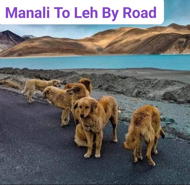 Amit Vaish on LinkedIn: Manali To Leh Journey By Road. Really No Words ... Amit Vaish on LinkedIn: Manali To Leh Journey By Road. Really No Words ...