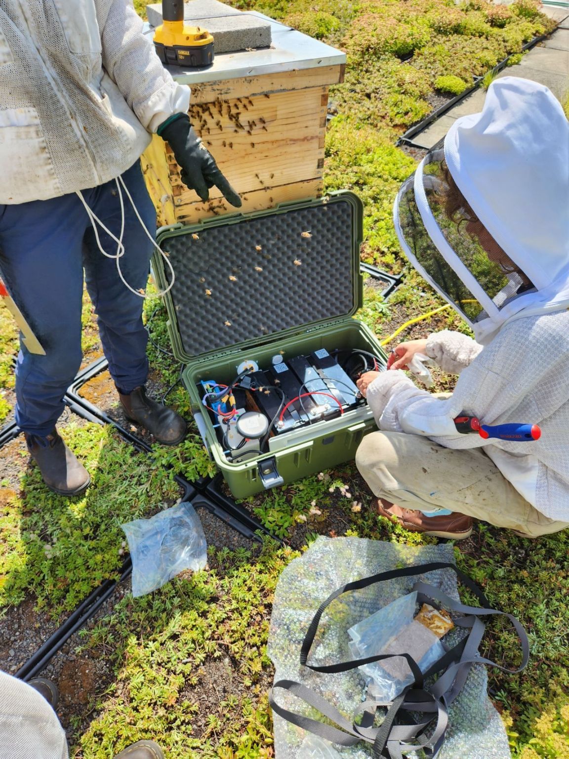 The Best Bees Company on LinkedIn: #biodiversity #climatetech # ... The Best Bees Company on LinkedIn: #biodiversity #climatetech # ...