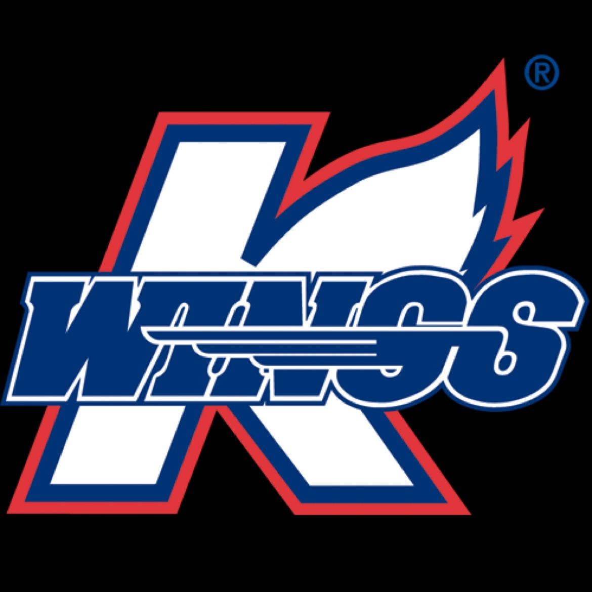 Ryan DeHommel on LinkedIn: Kalamazoo is a special place, and so are the ... Ryan DeHommel on LinkedIn: Kalamazoo is a special place, and so are the ...