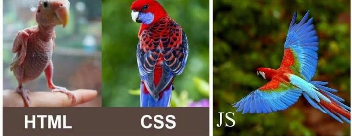 HTML vs Css nd JavaScript in defference 😊 | Vikas Sharma HTML vs Css nd JavaScript in defference 😊 | Vikas Sharma
