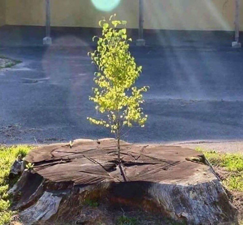 Khushbu Agarwal on LinkedIn: Cent Percent Khushbu Agarwal on LinkedIn: Cent Percent