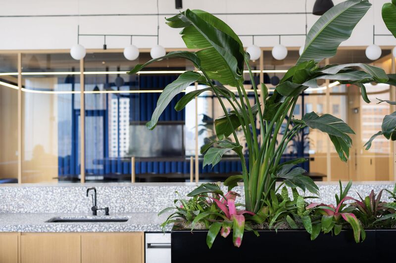 Kate Balsis on LinkedIn: project feature // This weeks project visit is ... Kate Balsis on LinkedIn: project feature // This weeks project visit is ...