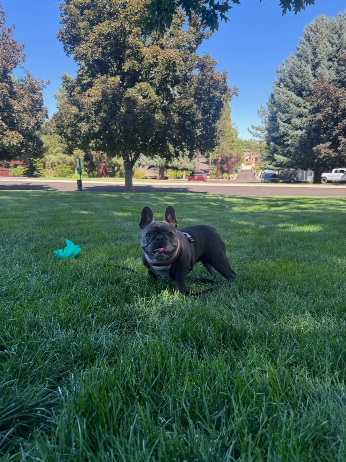 Irene Self, CFP® on LinkedIn: Monday morning - Counting Blessings. My ... Irene Self, CFP® on LinkedIn: Monday morning - Counting Blessings. My ...