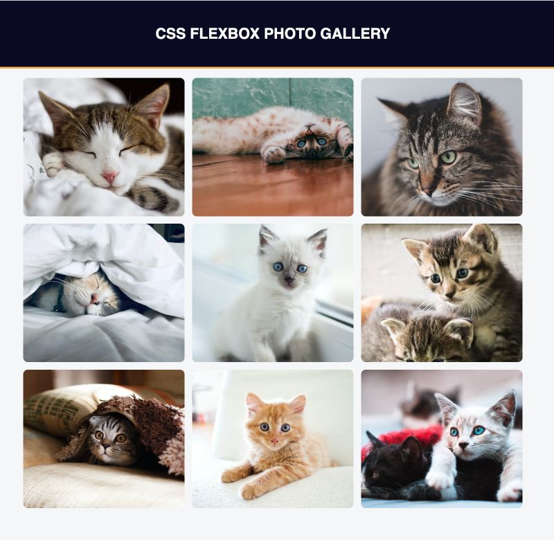 Sindhu Reddy on LinkedIn: #webdevelopment #css #flexbox #codingjourney ... Sindhu Reddy on LinkedIn: #webdevelopment #css #flexbox #codingjourney ...