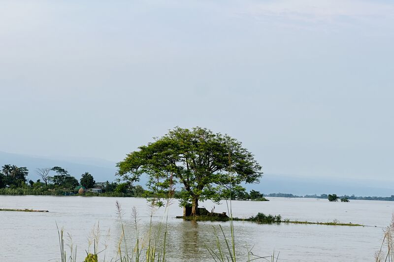 Tawfiq.A. Chowdhury on LinkedIn: Beautiful Bangladesh Tawfiq.A. Chowdhury on LinkedIn: Beautiful Bangladesh