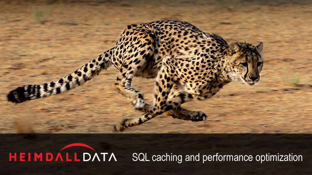 SQL Results caching with grid-cache | Heimdall Data posted on the topic ... SQL Results caching with grid-cache | Heimdall Data posted on the topic ...