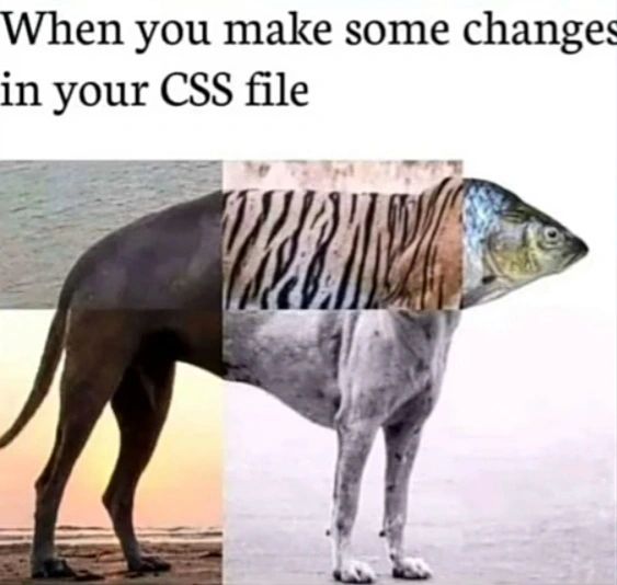 Suryansh Rana on LinkedIn: #cssmaestro #webstyling #python #sql Suryansh Rana on LinkedIn: #cssmaestro #webstyling #python #sql