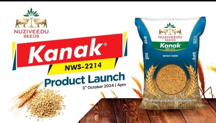 SURAJ PRAKASH SINGH on LinkedIn: #wheat SURAJ PRAKASH SINGH on LinkedIn: #wheat