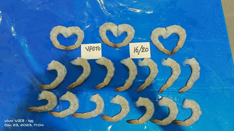 sree hari on LinkedIn: vpdton 16/20 sree hari on LinkedIn: vpdton 16/20