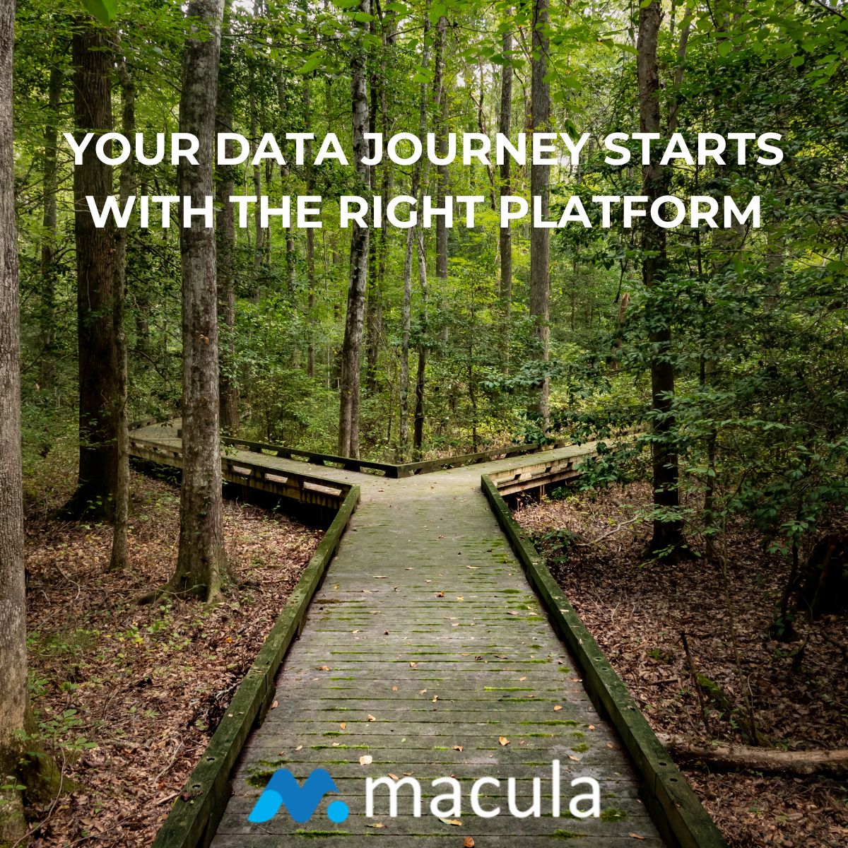 Macula on LinkedIn: #purview #alation #collibra #informatica #data # ... Macula on LinkedIn: #purview #alation #collibra #informatica #data # ...