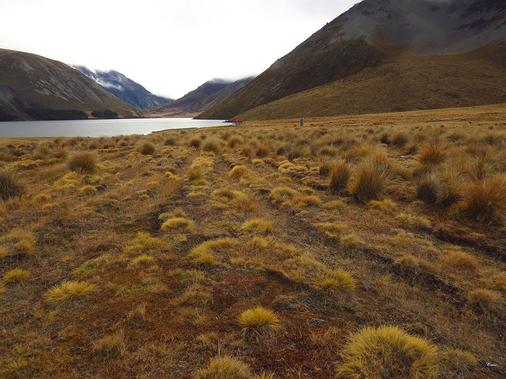Ernest Wong, CA on LinkedIn: Lake Tennyson, St James CA, Hanmer Springs ... Ernest Wong, CA on LinkedIn: Lake Tennyson, St James CA, Hanmer Springs ...