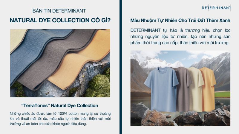 DETERMINANT Vietnam on LinkedIn: #determinant #determinantvn DETERMINANT Vietnam on LinkedIn: #determinant #determinantvn