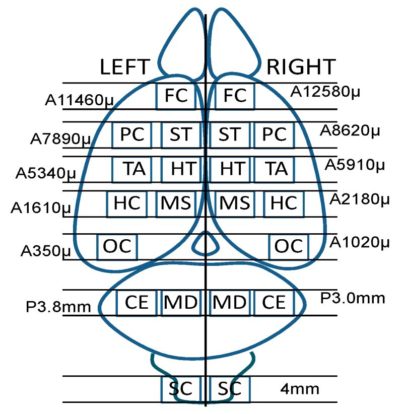 Symmetry MDPI on LinkedIn: #mdpisymmetry #brainasymmetry Symmetry MDPI on LinkedIn: #mdpisymmetry #brainasymmetry