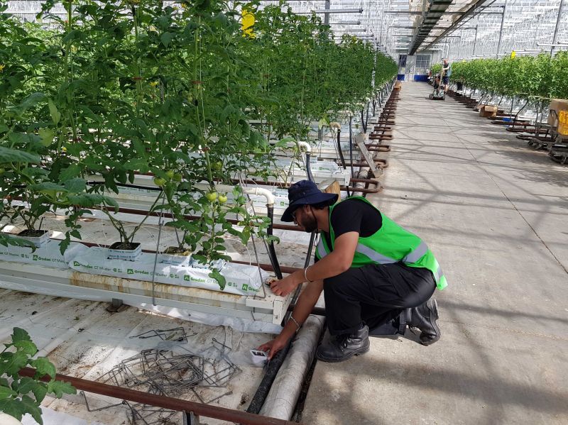 Hot Lime Labs on LinkedIn: Major milestone for Hot Lime Labs - late ... Hot Lime Labs on LinkedIn: Major milestone for Hot Lime Labs - late ...