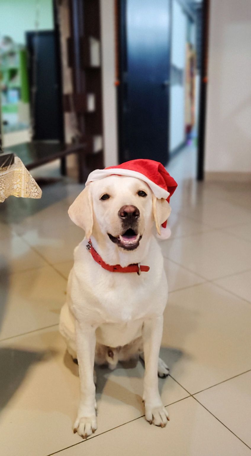 Ketan Gupta on LinkedIn: #christmas #newyear Ketan Gupta on LinkedIn: #christmas #newyear