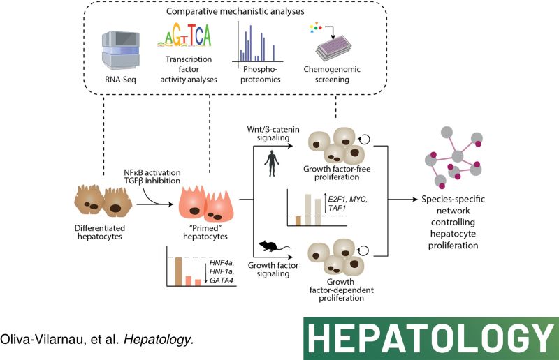 The Structural Genomics Consortium (SGC) on LinkedIn: Wnt/β-catenin and ... The Structural Genomics Consortium (SGC) on LinkedIn: Wnt/β-catenin and ...