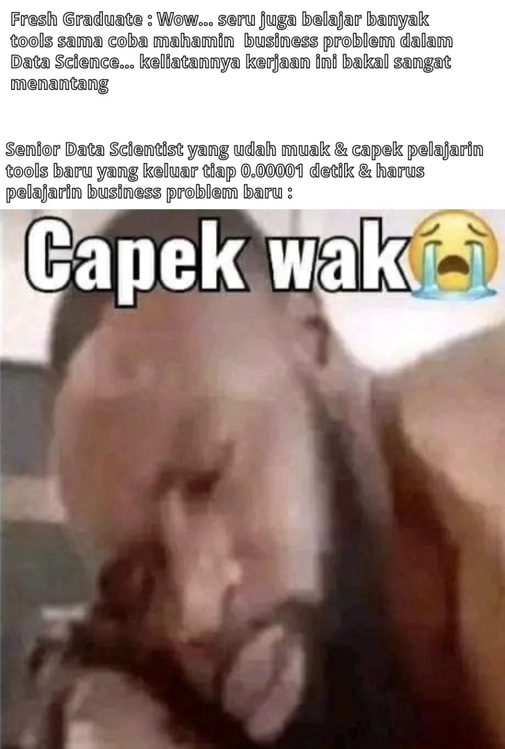 MICHAEL WIRYASEPUTRA on LinkedIn: #meme #datascience #dataanalyst # ... MICHAEL WIRYASEPUTRA on LinkedIn: #meme #datascience #dataanalyst # ...