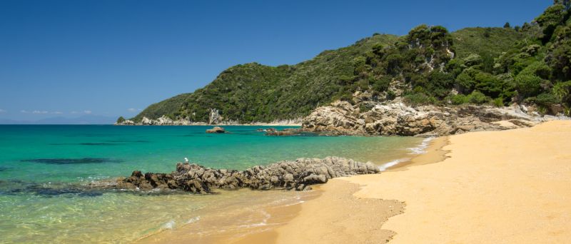 Project Janszoon - Restoring the Abel Tasman on LinkedIn: #docgovtnz # ... Project Janszoon - Restoring the Abel Tasman on LinkedIn: #docgovtnz # ...