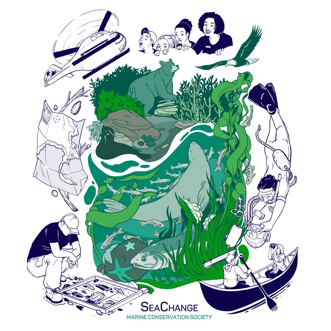 SeaChange Marine Conservation Society on LinkedIn: #salishsea # ... SeaChange Marine Conservation Society on LinkedIn: #salishsea # ...