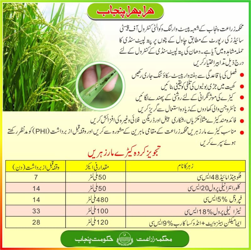 Zain Hashmi posted on LinkedIn Zain Hashmi posted on LinkedIn