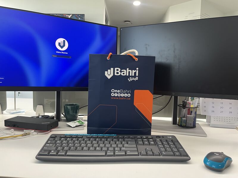 #onebahri | Vibha Sharma #onebahri | Vibha Sharma