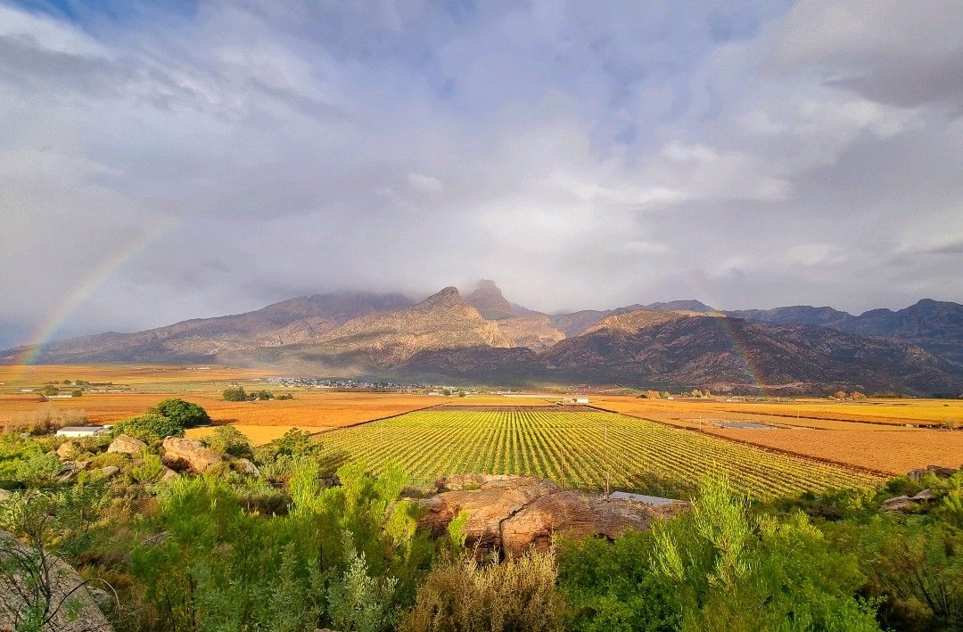 Shandini Naidoo posted on LinkedIn Shandini Naidoo posted on LinkedIn