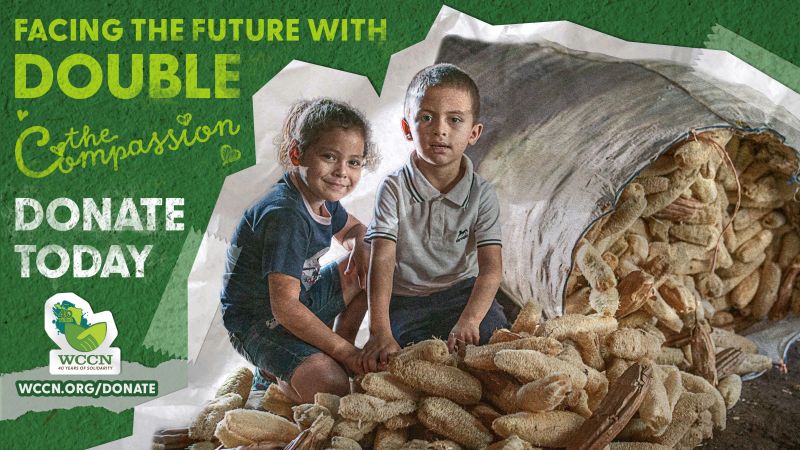 #givingtuesday #wccn #40yearsofsolidarity #givingtuesday2024… | Working ... #givingtuesday #wccn #40yearsofsolidarity #givingtuesday2024… | Working ...