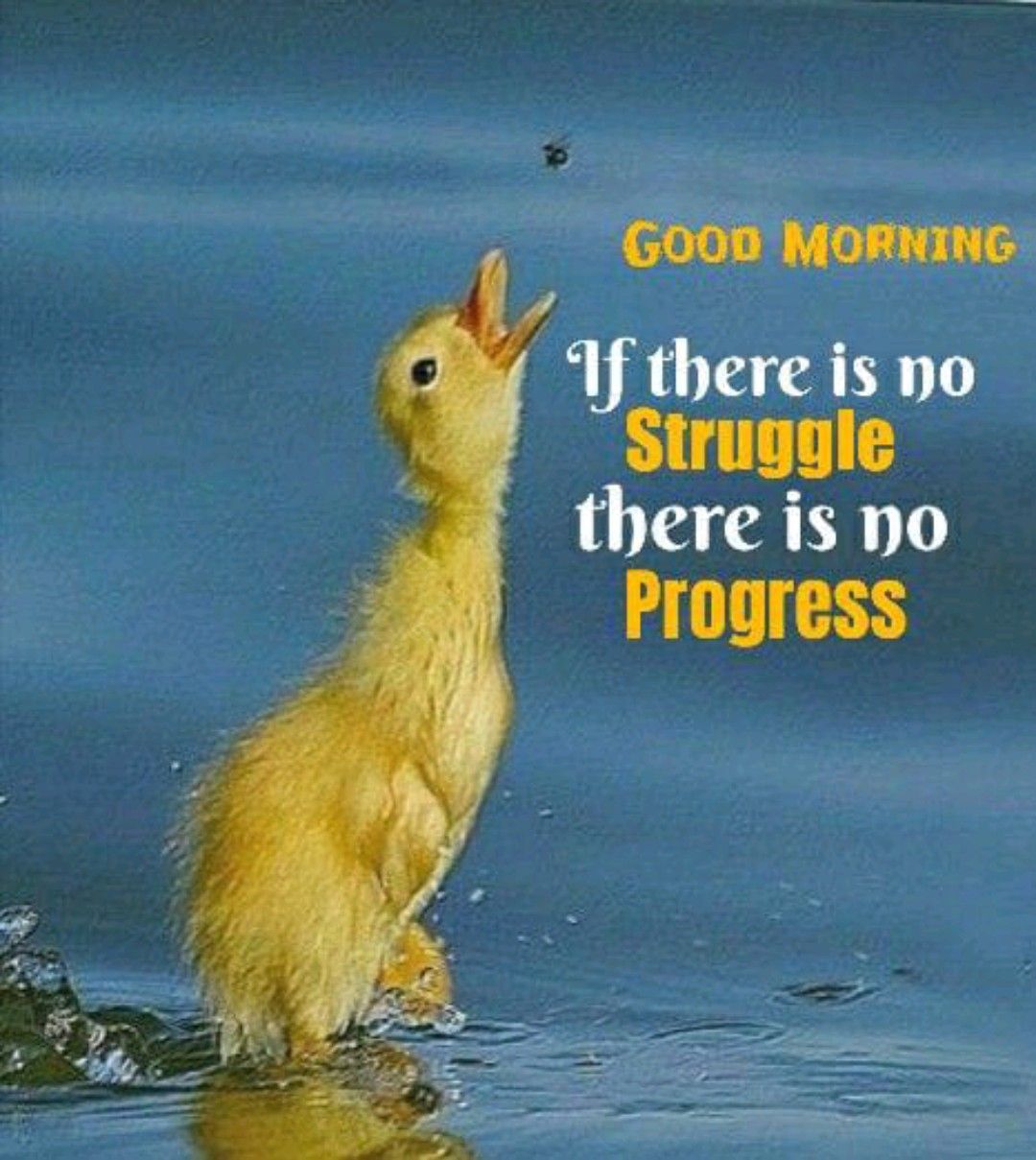 Sumanth Sai Reddy Mekala posted on LinkedIn Sumanth Sai Reddy Mekala posted on LinkedIn