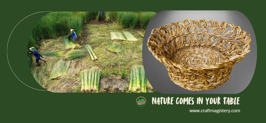 Mohammad Emran Hasan on LinkedIn: Nature comes in your… Mohammad Emran Hasan on LinkedIn: Nature comes in your…