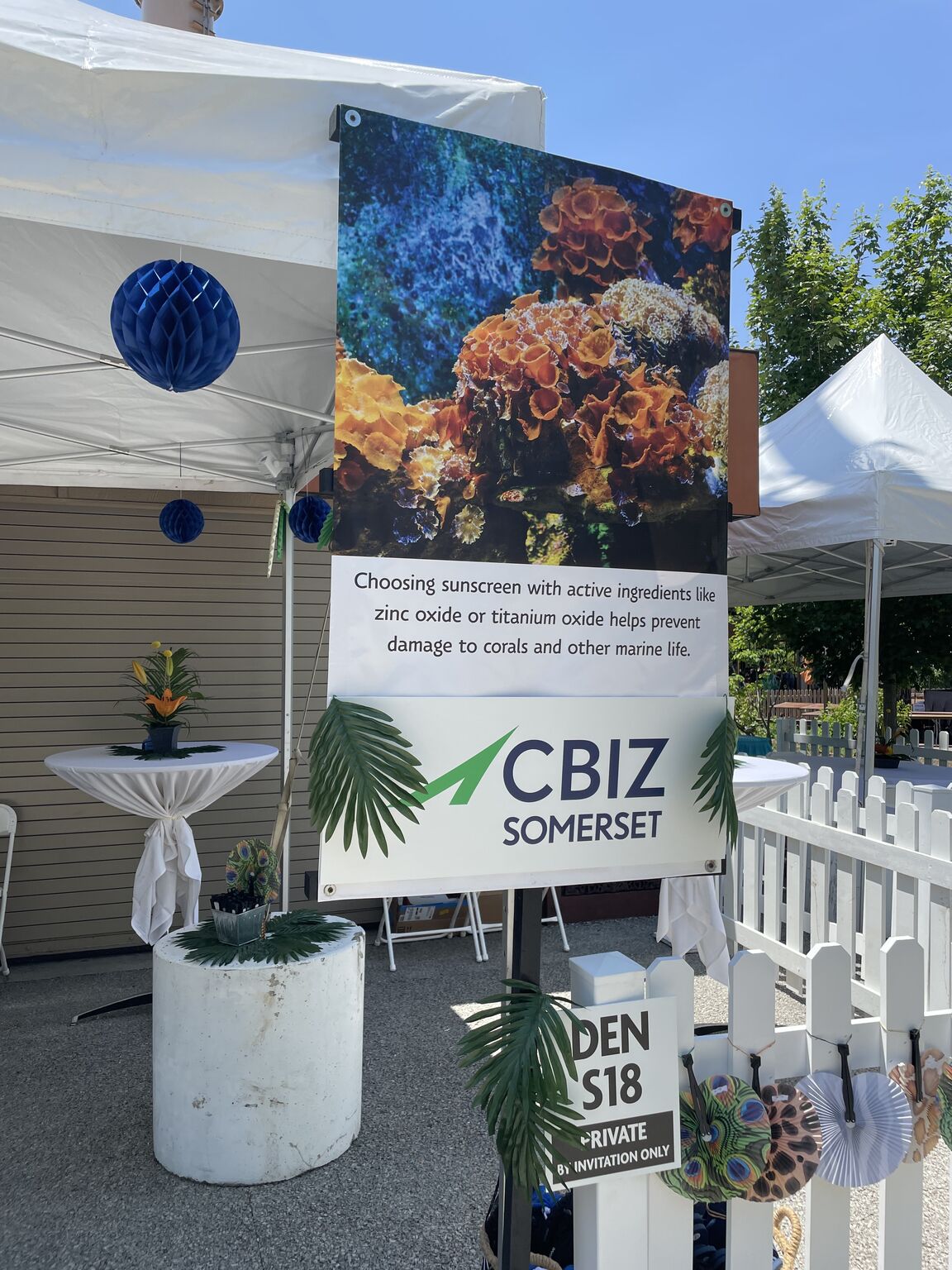 CBIZ Somerset on LinkedIn: #indyzoo CBIZ Somerset on LinkedIn: #indyzoo