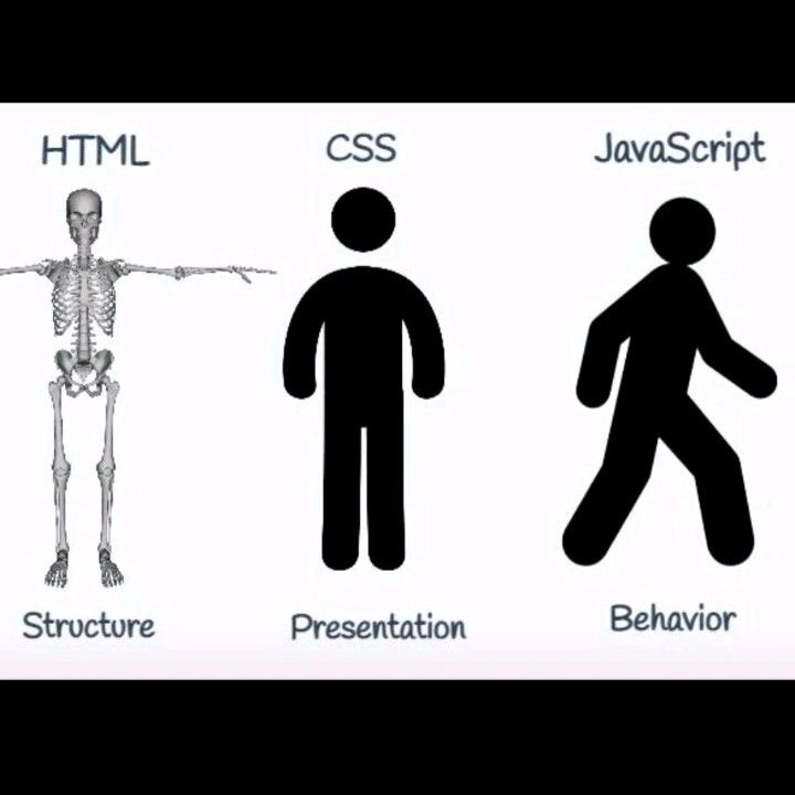 HTML - CSS - JavaScript 💻🖥️💻 | Lasantha Pradeep HTML - CSS - JavaScript 💻🖥️💻 | Lasantha Pradeep