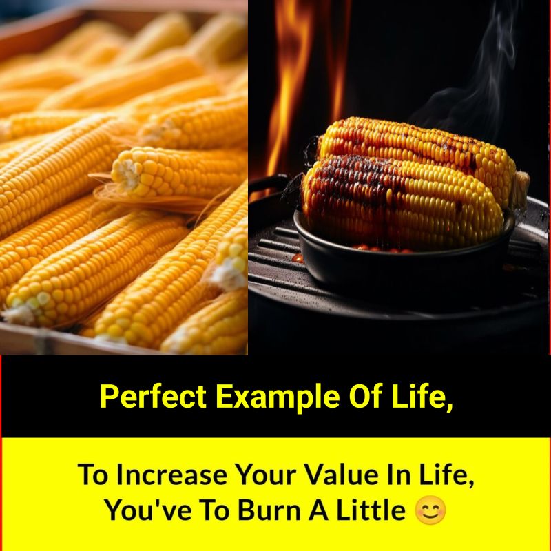 Saran Kumar. R on LinkedIn: Perfect Example Of Life, Saran Kumar. R on LinkedIn: Perfect Example Of Life,