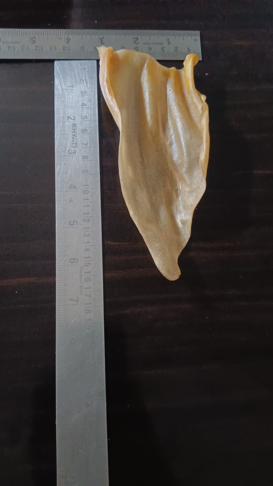 Faisal Imtiyaz on LinkedIn: Beef Ear natural 15g+,15cm+ Faisal Imtiyaz on LinkedIn: Beef Ear natural 15g+,15cm+