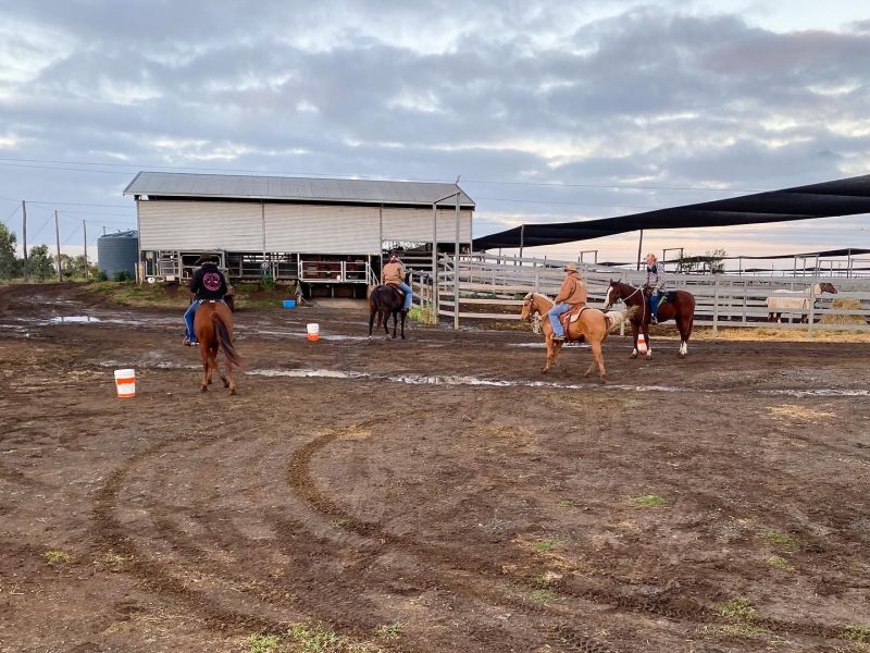 Barmount Feedlot on LinkedIn: #barmountfeedlot #barmount #feedlot # ... Barmount Feedlot on LinkedIn: #barmountfeedlot #barmount #feedlot # ...