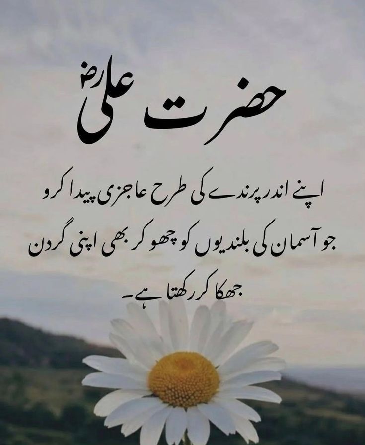 ️ | Ahsan Mughal ️ | Ahsan Mughal