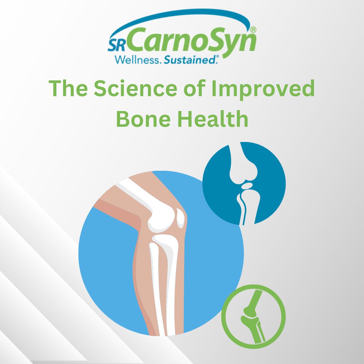 SR CarnoSyn® on LinkedIn: Bone Health - SR CarnoSyn® Health & Wellness SR CarnoSyn® on LinkedIn: Bone Health - SR CarnoSyn® Health & Wellness