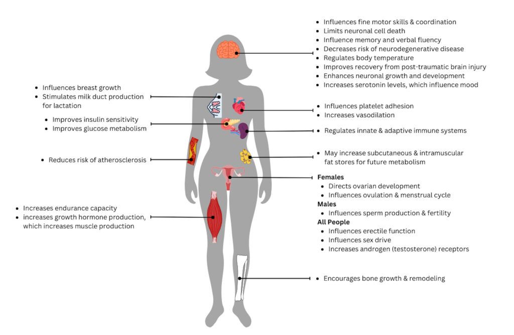 Peter Shimon on LinkedIn: Dismantling the “Man the Hunter” Myth Drs ... Peter Shimon on LinkedIn: Dismantling the “Man the Hunter” Myth Drs ...