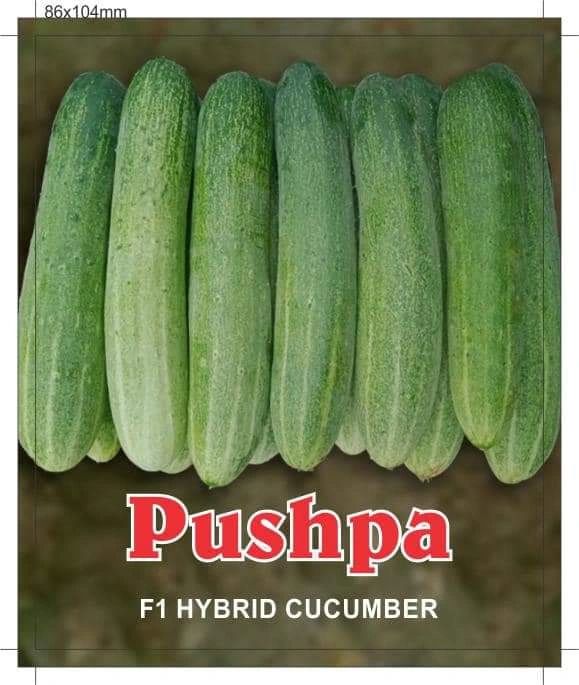Vikas Kumar Giri on LinkedIn: #hybrid Vikas Kumar Giri on LinkedIn: #hybrid