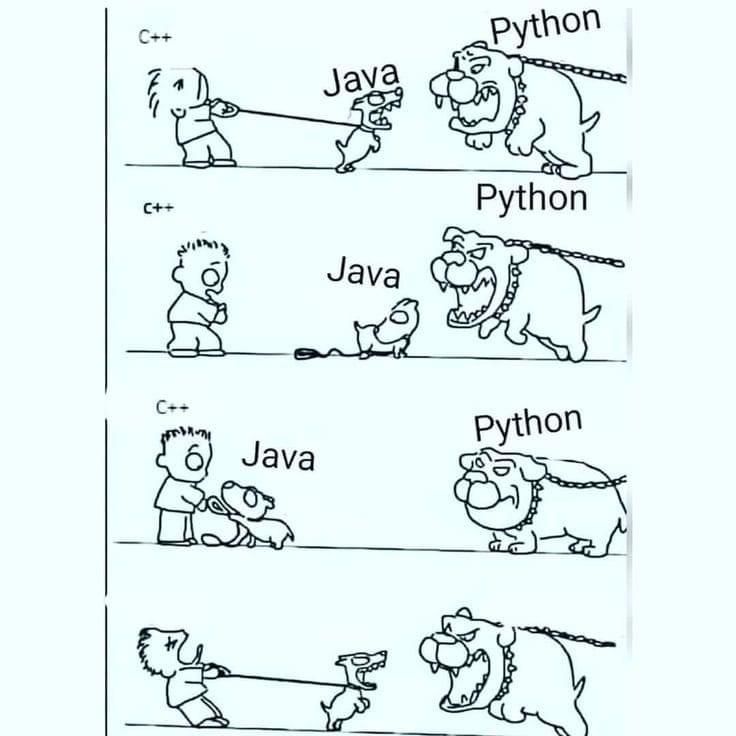 Credit : Coding Thai | Seun Adeoye Credit : Coding Thai | Seun Adeoye