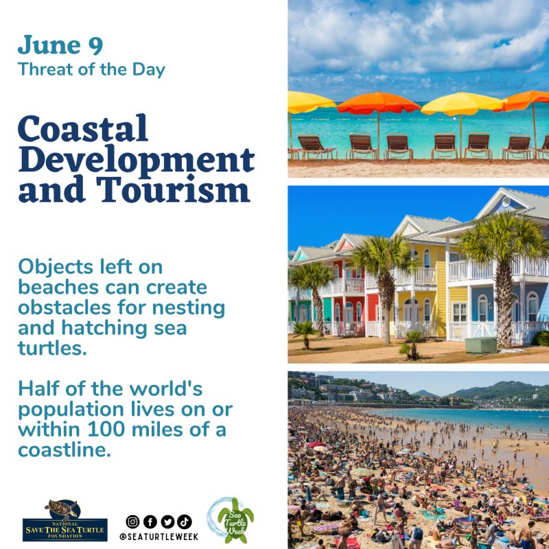 Turtle Island Restoration Network (TIRN) on LinkedIn: #seaturtleweek # ... Turtle Island Restoration Network (TIRN) on LinkedIn: #seaturtleweek # ...