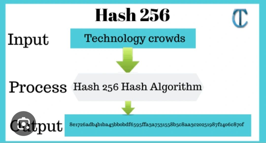 Nandini Jadhav on LinkedIn: We heard about SHA256 see, 'why we use ... Nandini Jadhav on LinkedIn: We heard about SHA256 see, 'why we use ...