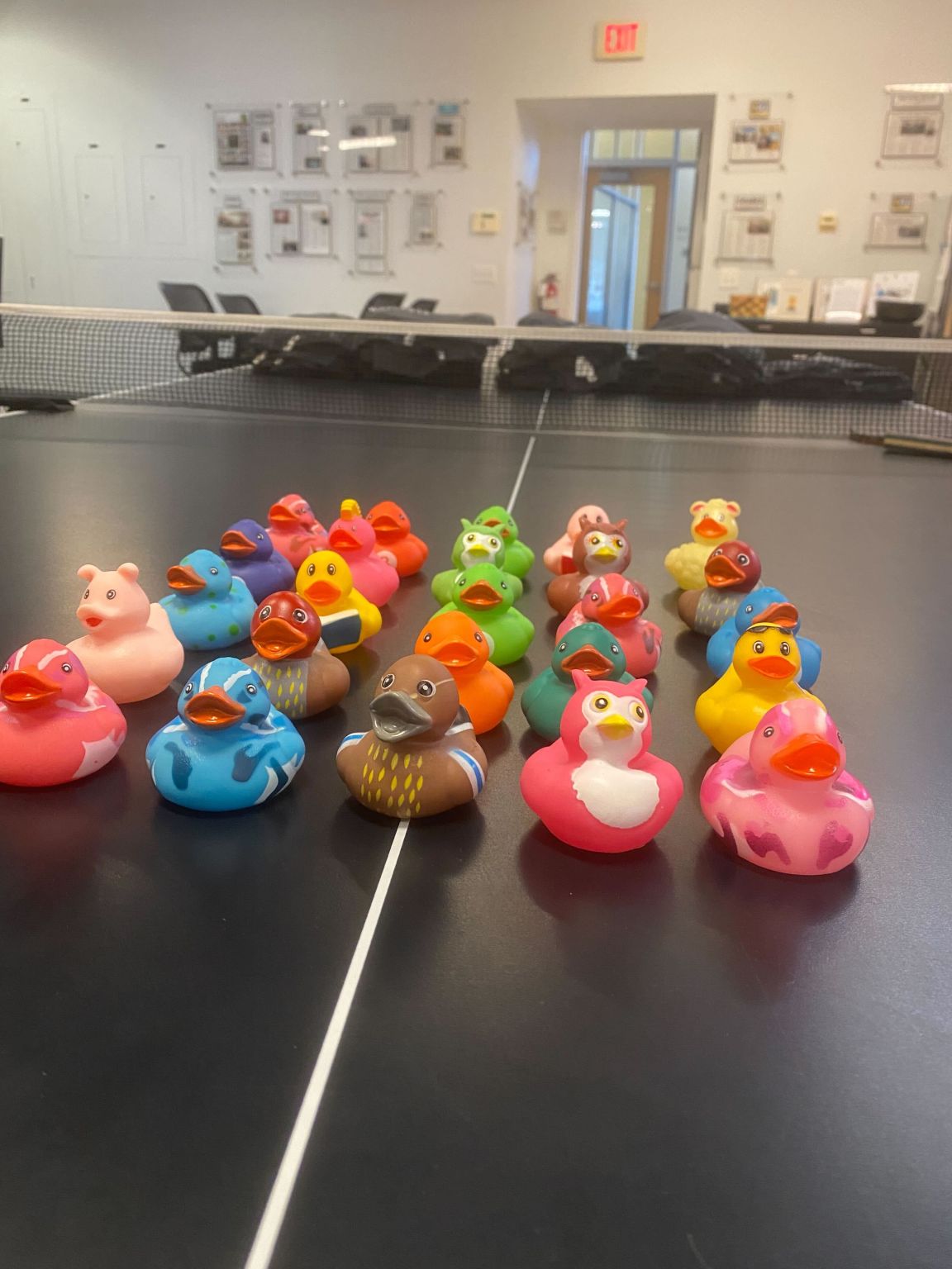 Tech Elevator on LinkedIn: #rubberduckdebugging #debugging # ... Tech Elevator on LinkedIn: #rubberduckdebugging #debugging # ...