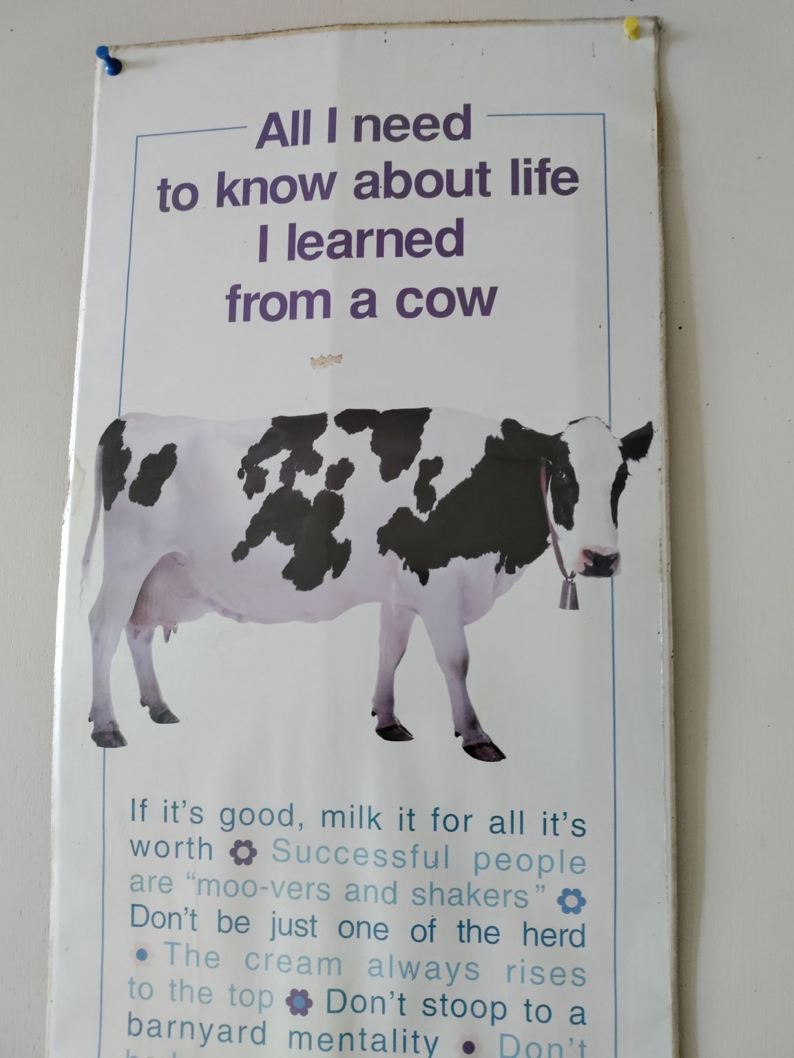 Margarita Crutcher, SHRM-SCP, PHR, THRP on LinkedIn: #cow #advice #pnw ... Margarita Crutcher, SHRM-SCP, PHR, THRP on LinkedIn: #cow #advice #pnw ...